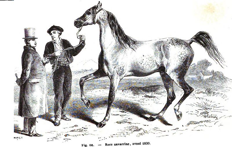 [TMP] "The French Horses." Topic