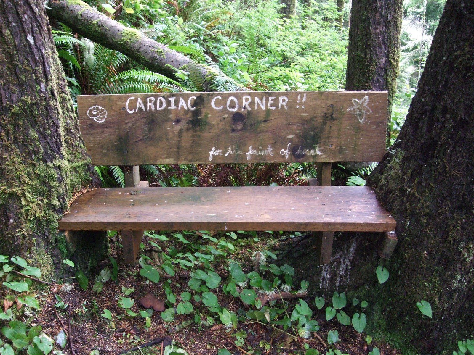 West Coast Trail Study: Keeha/Cape Beale Trails