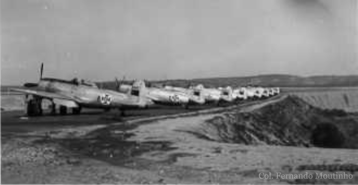 REPUBLIC F-47D THUNDERBOLT (M771 - PM124/2012) ~ PÁSSARO DE FERRO