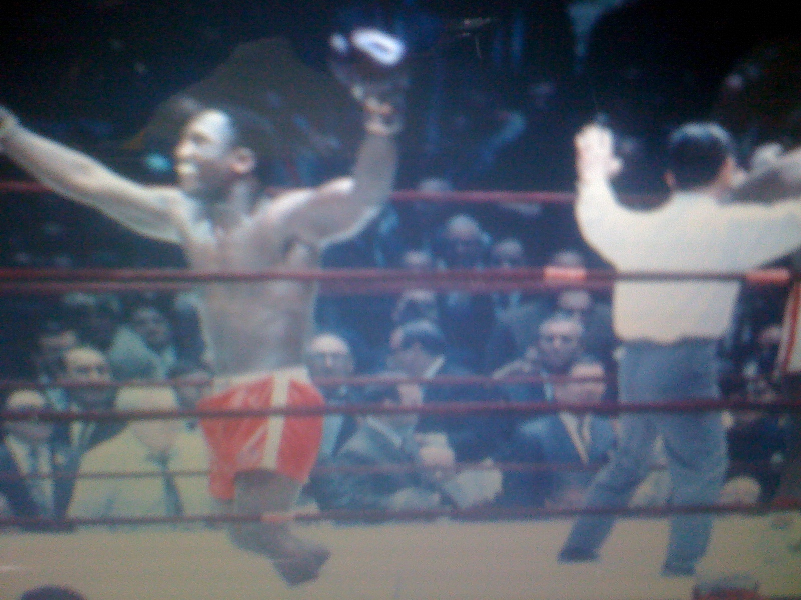 THE BLACK SOCIAL HISTORY:: BLACK SOCIAL HISTORY : AFRICAN AMERICAN ...