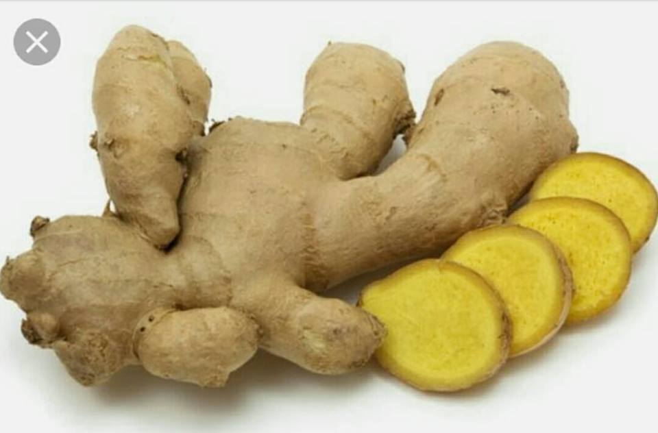 RAHSIA TARIKH LAHIR KAEDAH SAINS METAFIZIK: KHASIAT HALIA