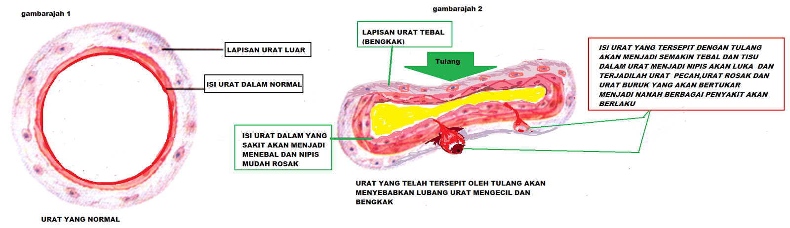 Prissna Wellness & Therapy Centre (Pusat Rawatan PRISSNA)