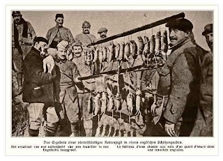 Military History Of the 20th Century: Trench Rats Of World War 1photo 4