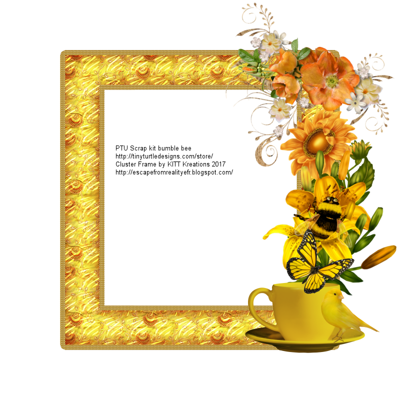 Escape From Reality Blog: FTU 'Bumble Bee' Cluster & Cluster Frames