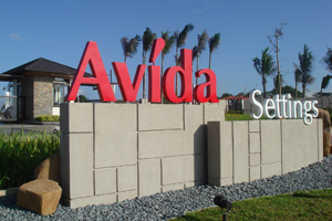 Comfortable and Affordable House and Lot: Avida Settings ( CHELSEA ...