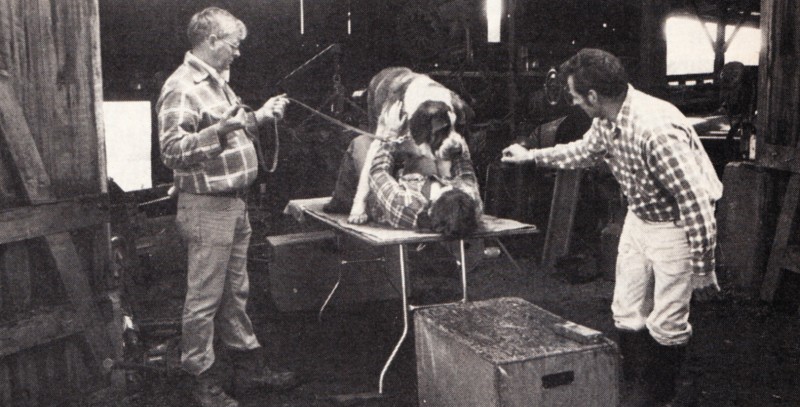 National Dog Day you say? How about behind the scenes of Cujo. : r/horror