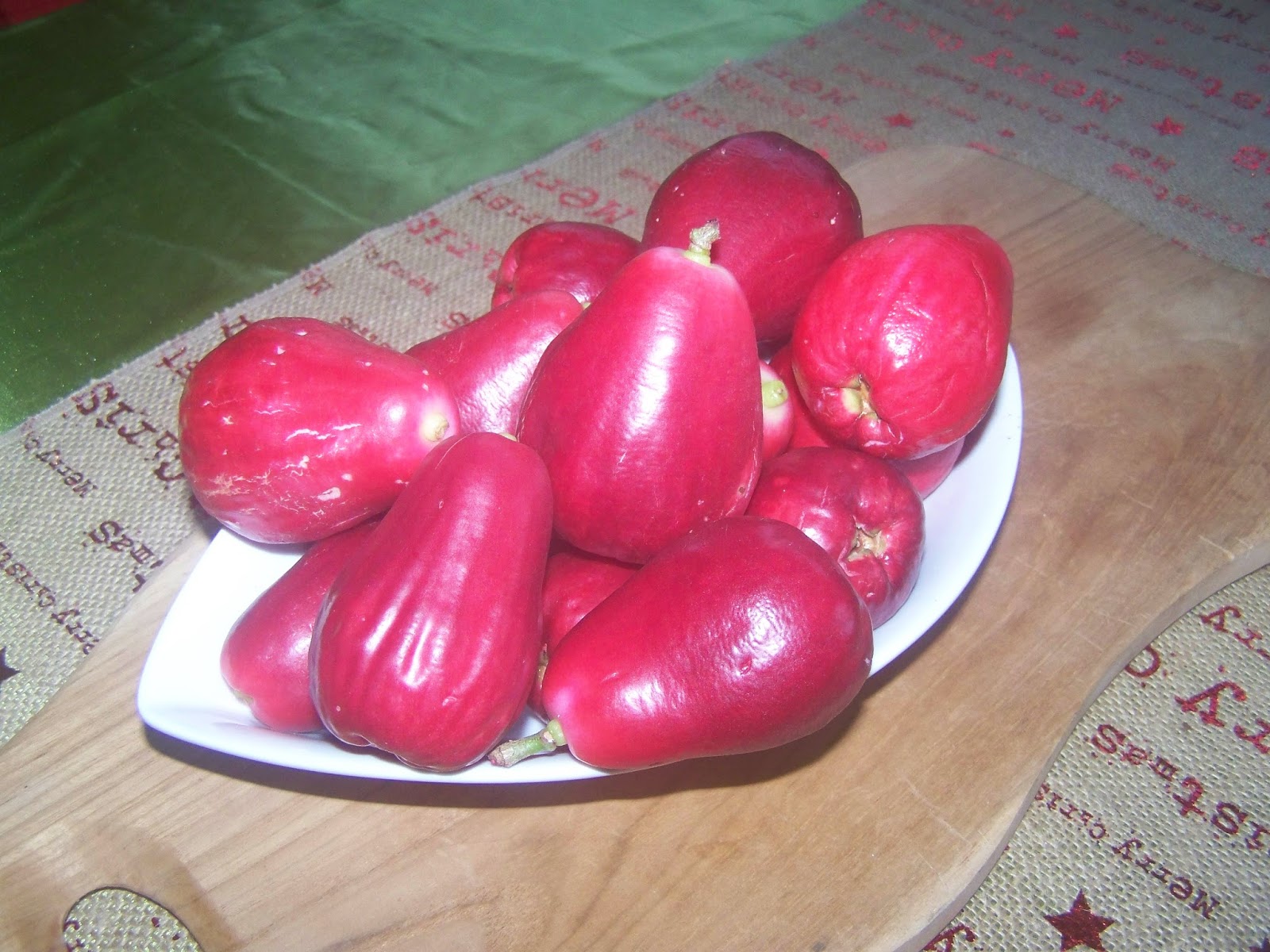 my rustic bajan garden: Garden Blogger's Bloom Day January 2018