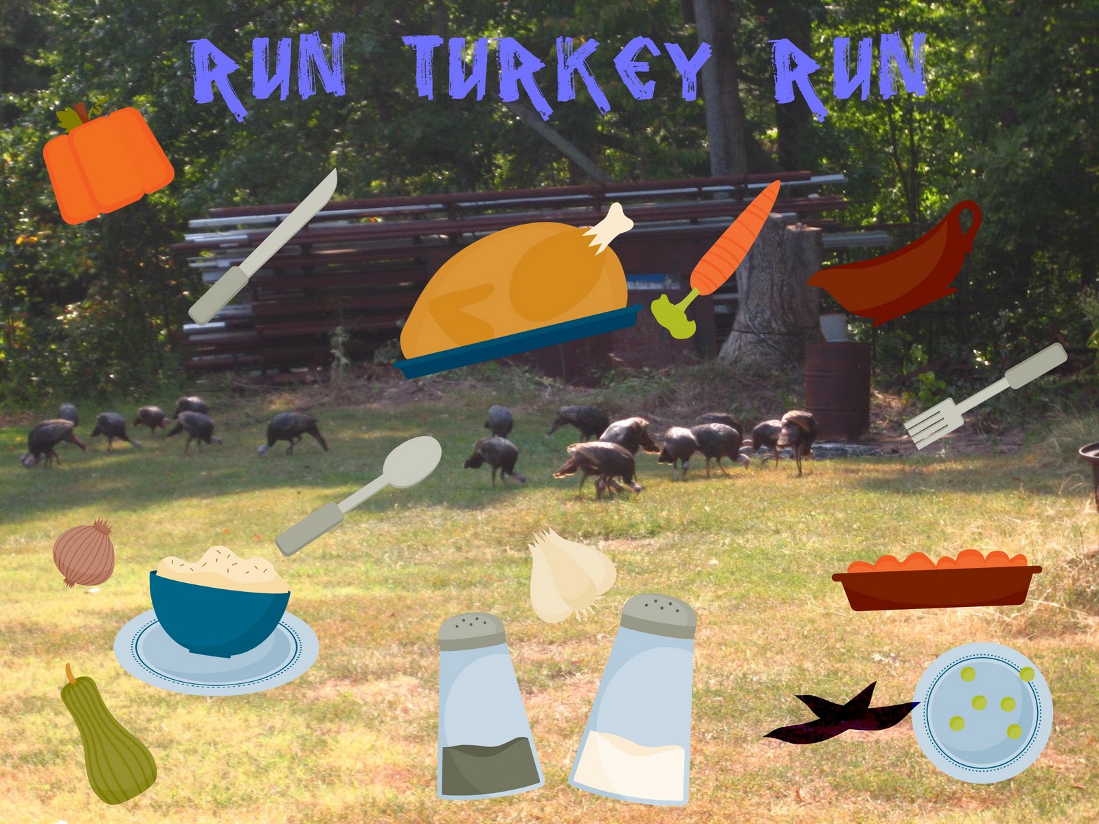 Southern Jam: Run Turkey Run