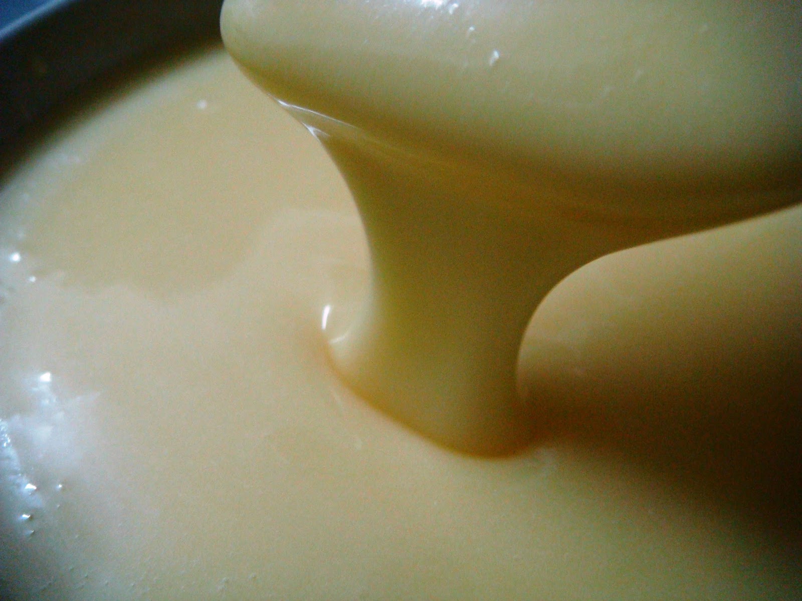 Homemade Sweetened Condense Milk - Vera's Kitchen