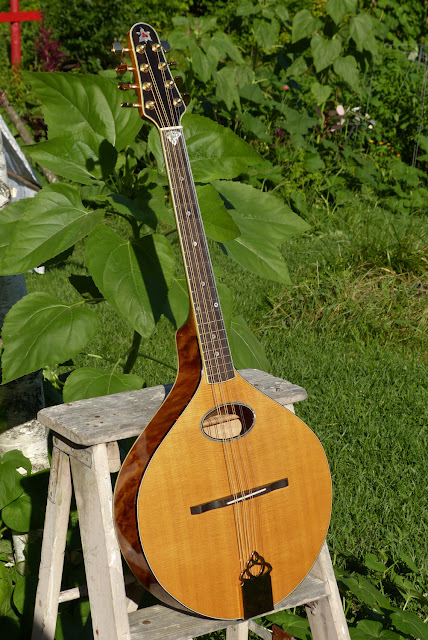 2000 Trillium Octave Mandolin