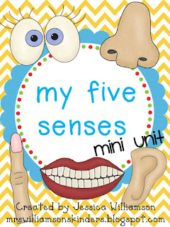 Welcome to Room 36!: My five senses
