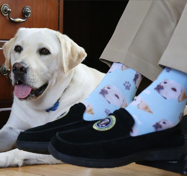 Royal Family Around the World: George H.W. Bush's service dog Sully in ...