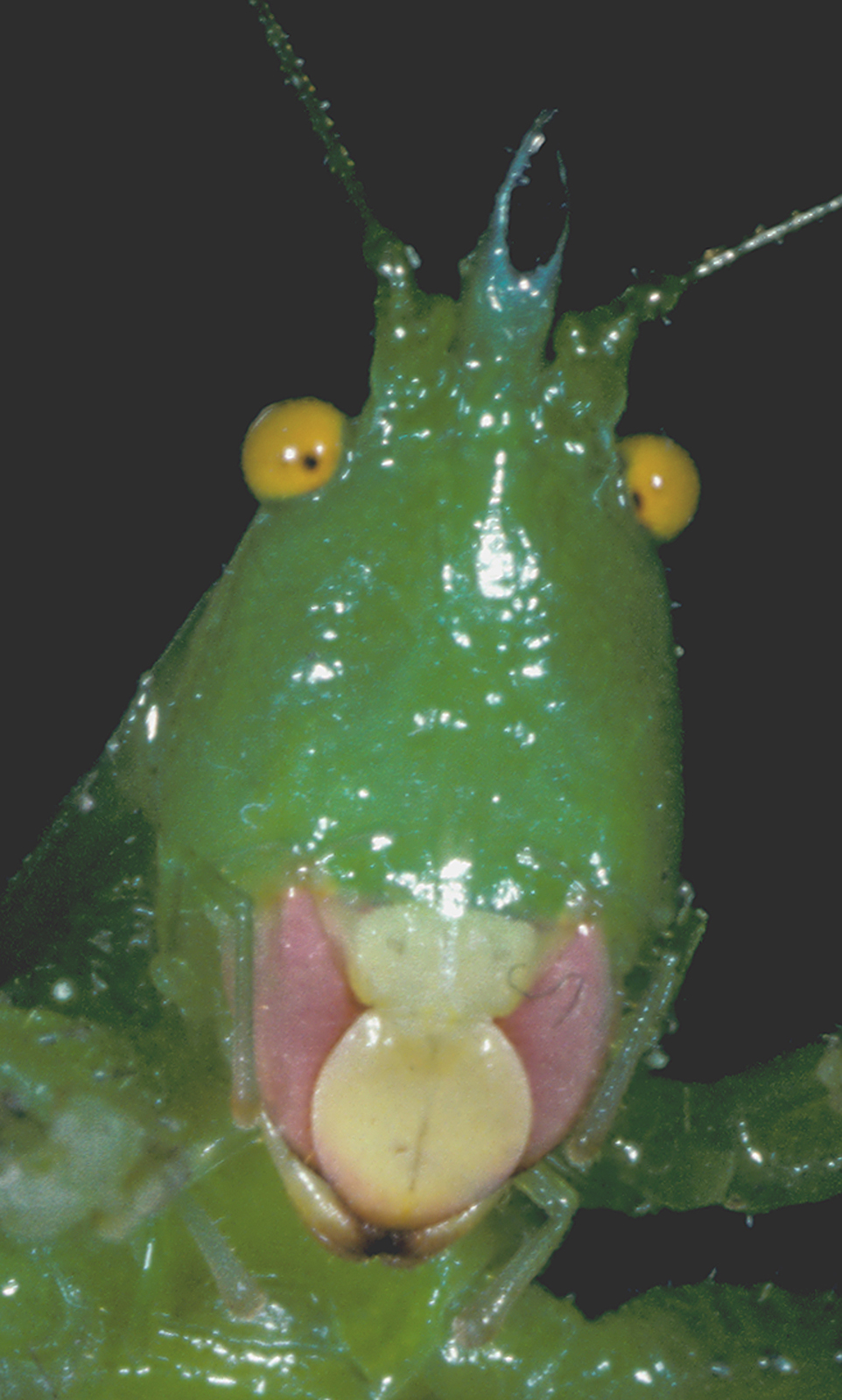 BunyipCo: March 2012