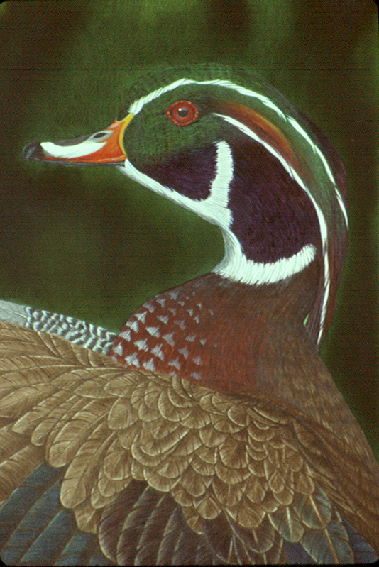 Time Spent Making Art: March 2013