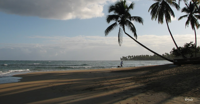 Ningún lugar está lejos... en RD: Las Terrenas, Samaná