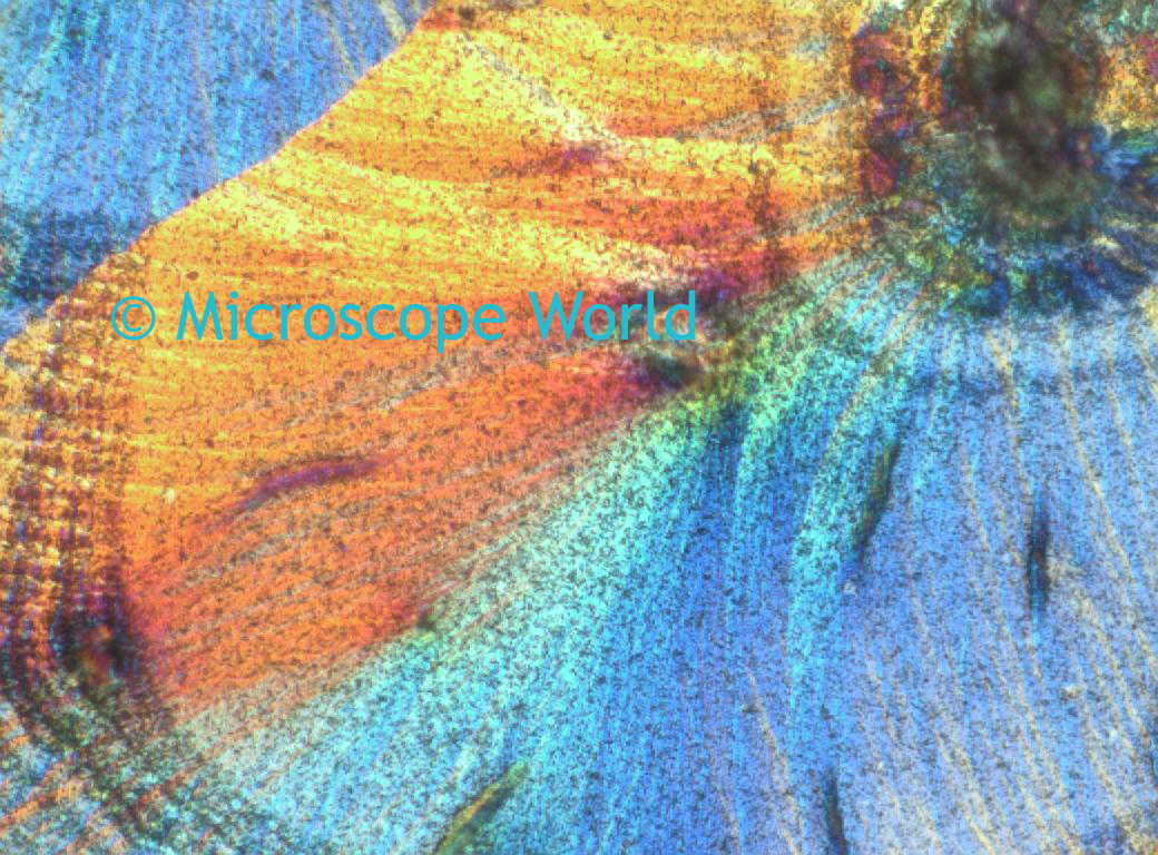 Microscope World Blog: Polarizing Microscope Applications