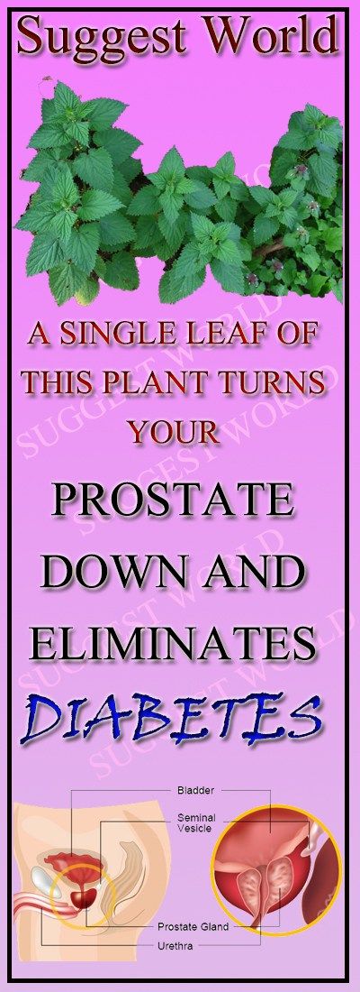 A SINGLE LEAF OF THIS PLANT TURNS YOUR PROSTATE DOWN AND ELIMINATES ...