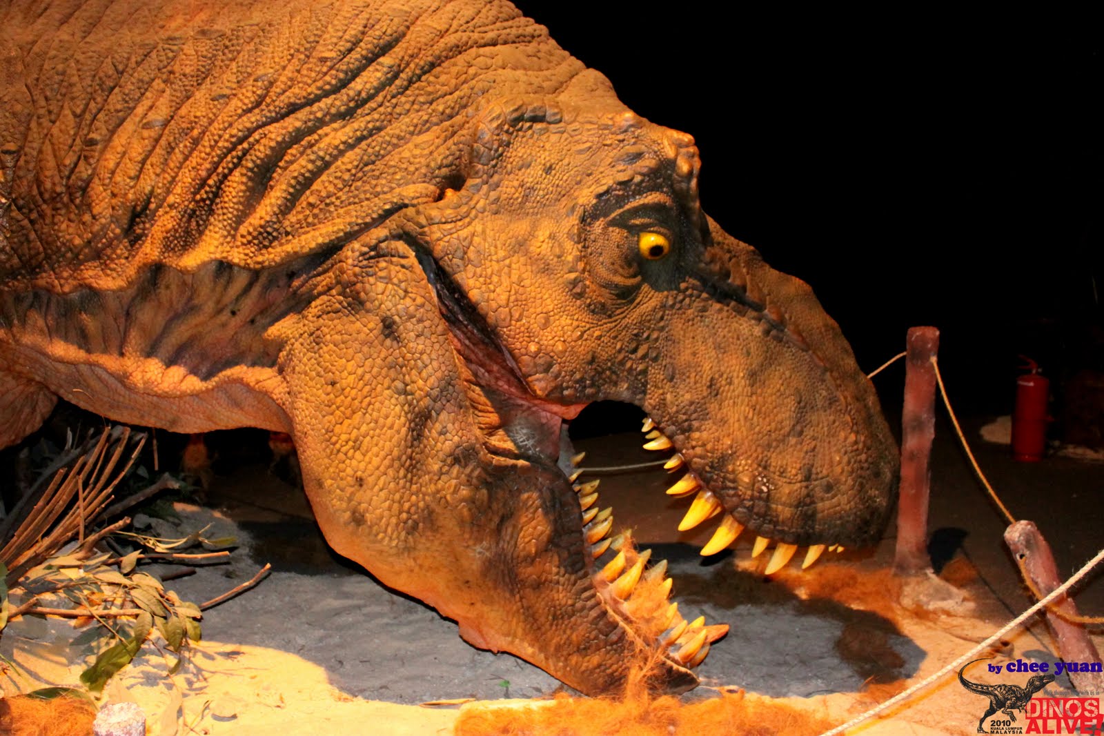 I See, I Learn.: Dinos Alive Exhibition