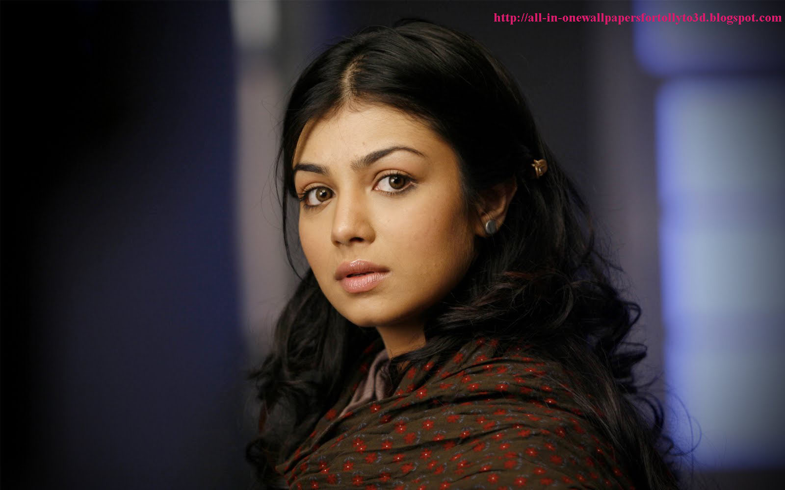 ALL-IN-ONE WALLPAPERS: Aayesha Takiya Latest Spicy Still Photo HD ...