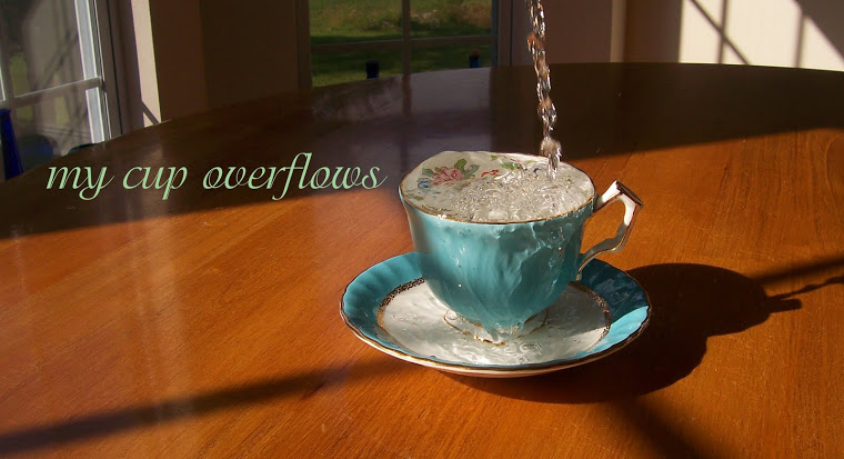 My Cup Is Full: Blessed in Abundance, Thankful Thursday