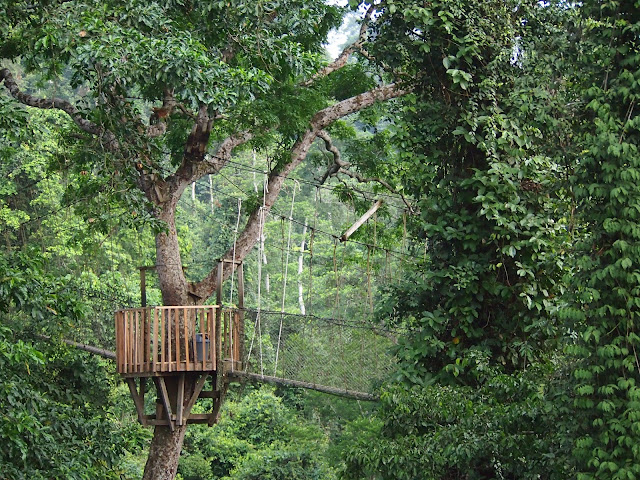 Ghana: Kakum national park; treetop style – Kulturstudier