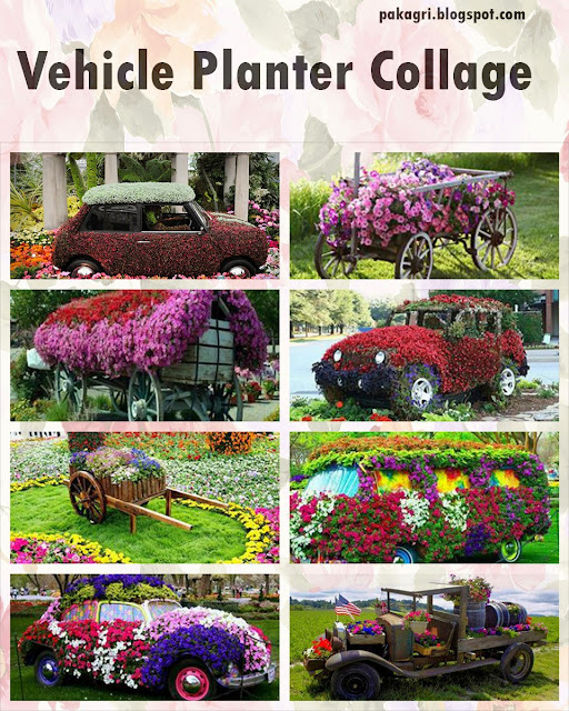 Garden and Farms: Vehicle Planters Collage