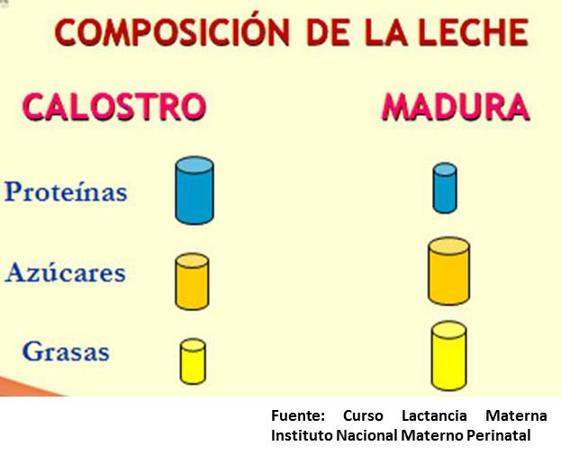 (PDF) ROTAFOLIO EDUCATIVO LACTANCIA MATERNA Unidad de … - DOKUMEN.TIPS