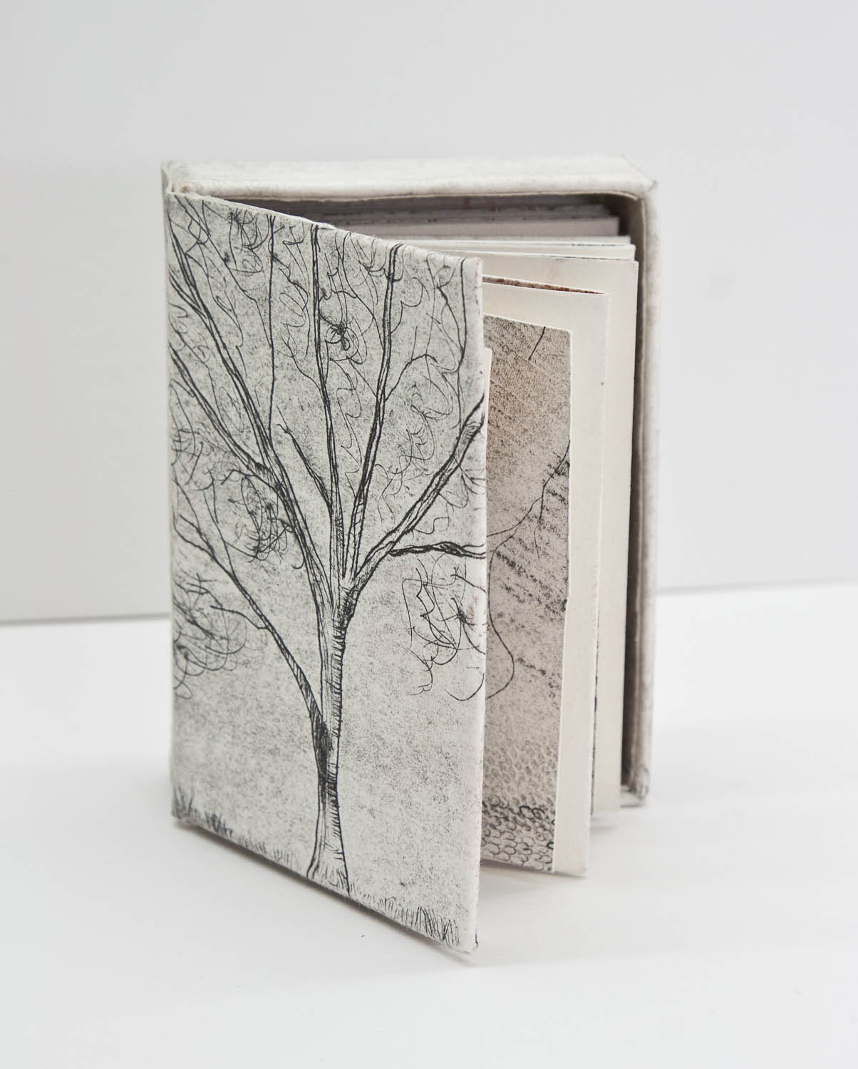 Fenfolio: Artistic Explorations: Artists' Books and Book Objects (2)