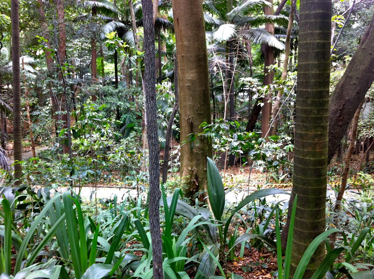 Parque Trianon ou Tenente Siqueira Campos em São Paulo ~ Áreas Verdes ...