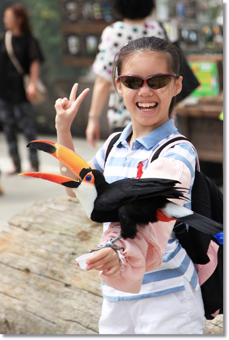 Emiko & Wilson's 生活小珍藏: 【2013暑遊】日本京阪神奈九日遊 -- 神戶花鳥園