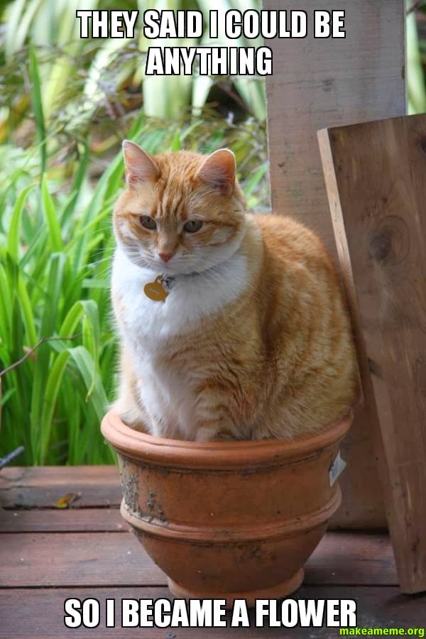 "They Said I Could Become Anything" Meme Collection - For Fum And ...