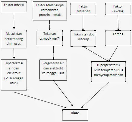 Pathway Diare - Pathway Patofisiologi
