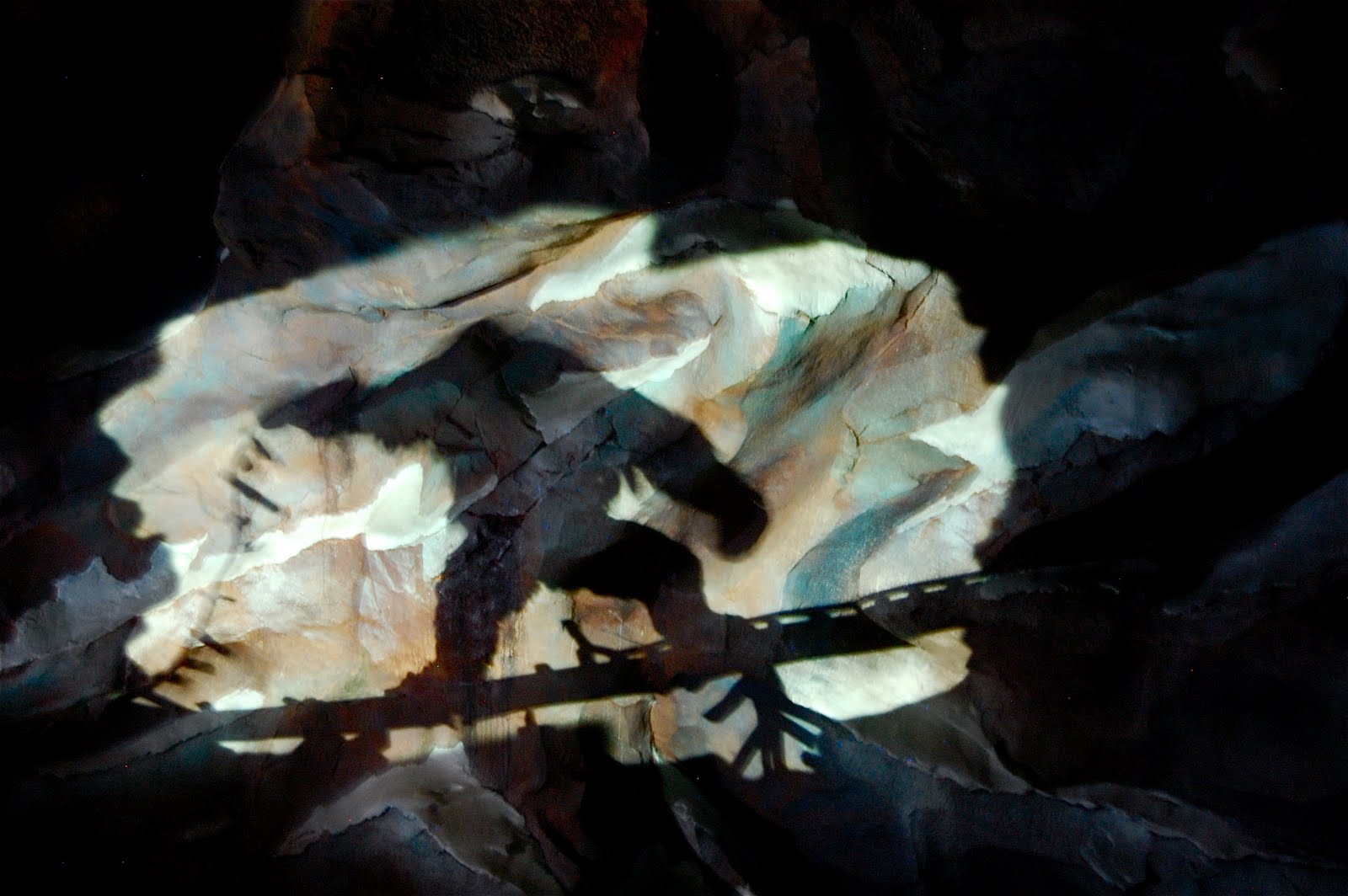 Expedition Everest Yeti Shadow