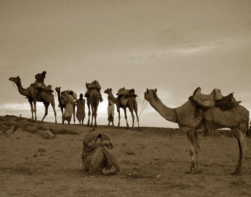 Historia, faro del presente. : LA HISTORIA OCULTA DE GAZA (7): La ...