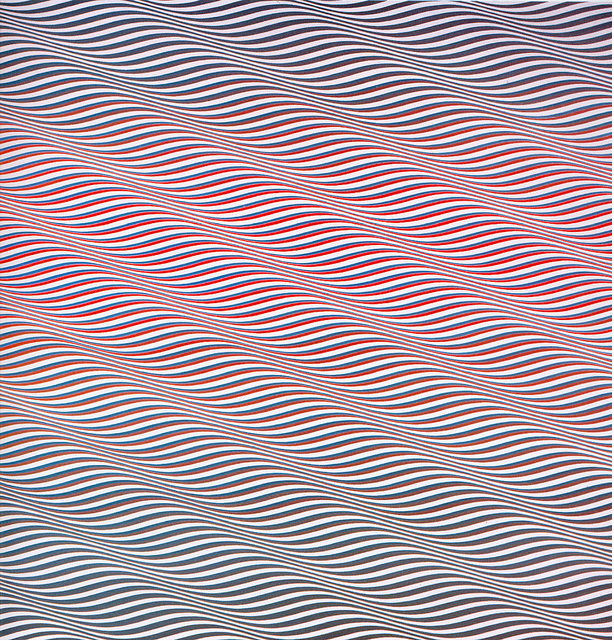 Cátia Almeida: Bridget Riley