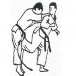 BUDO TOLEDO: GERI WAZA: TÉCNICAS DE PIERNA