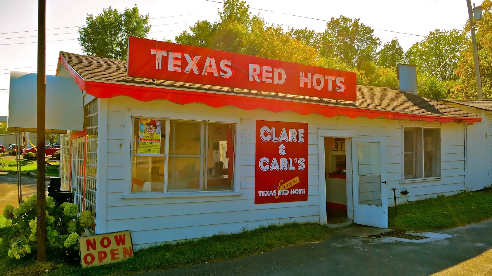 Raining Iguanas: Texas Red Hots, NY.