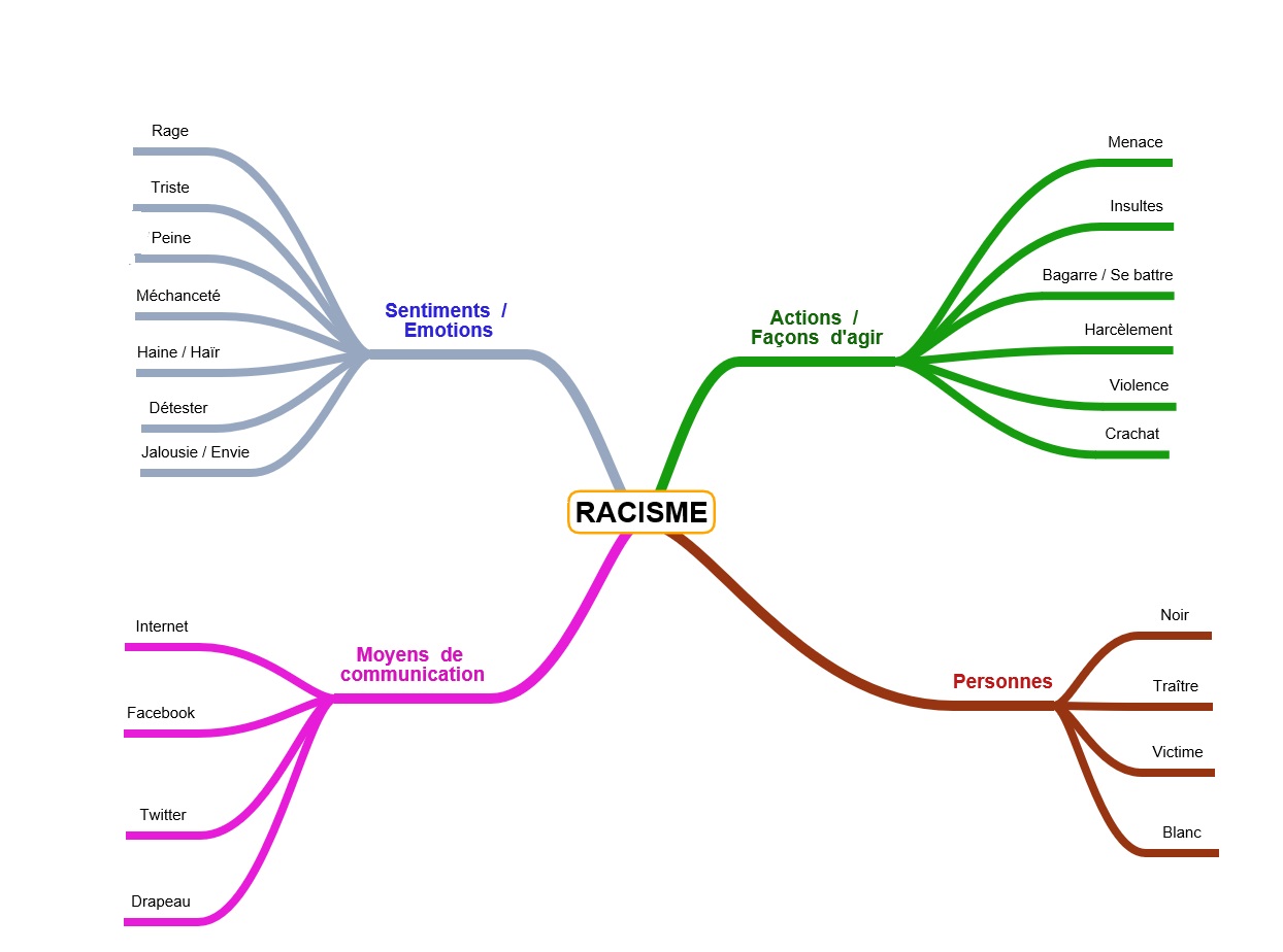 Ulis du collège Anatole France: Racisme, comment en parler