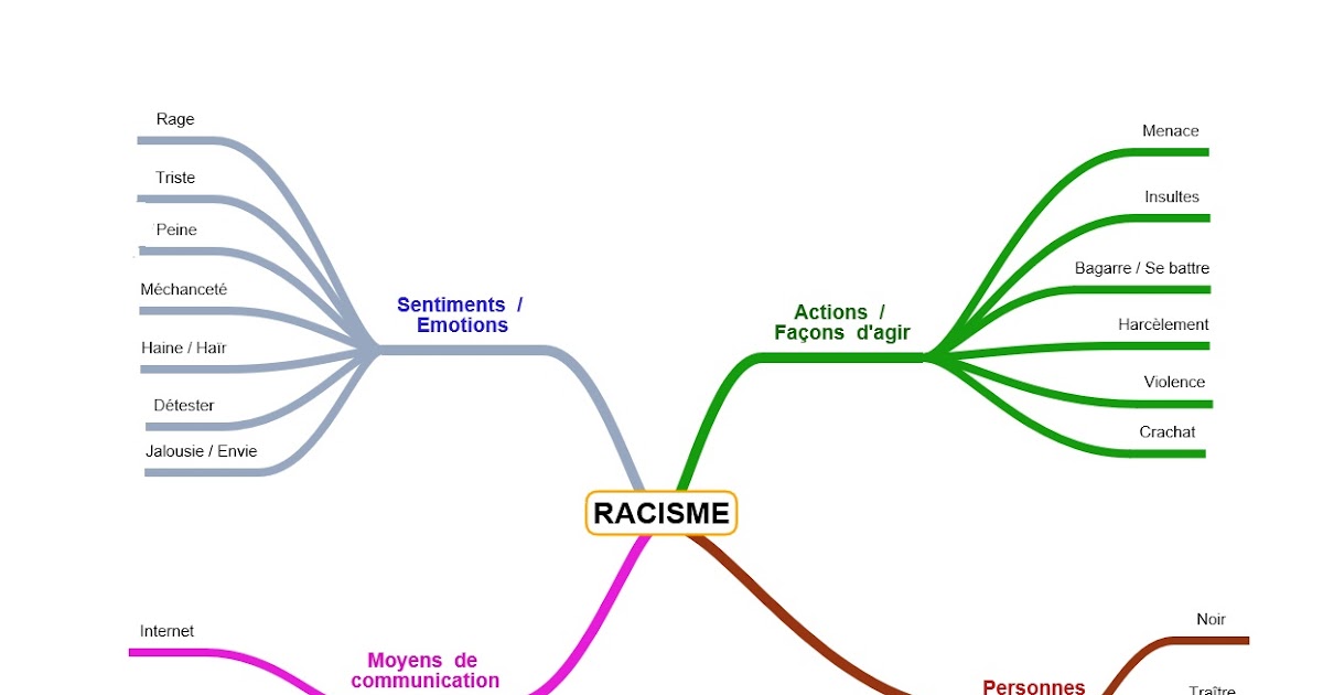 Ulis du collège Anatole France: Racisme, comment en parler