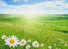 РАЧУВАРИ: Proleće