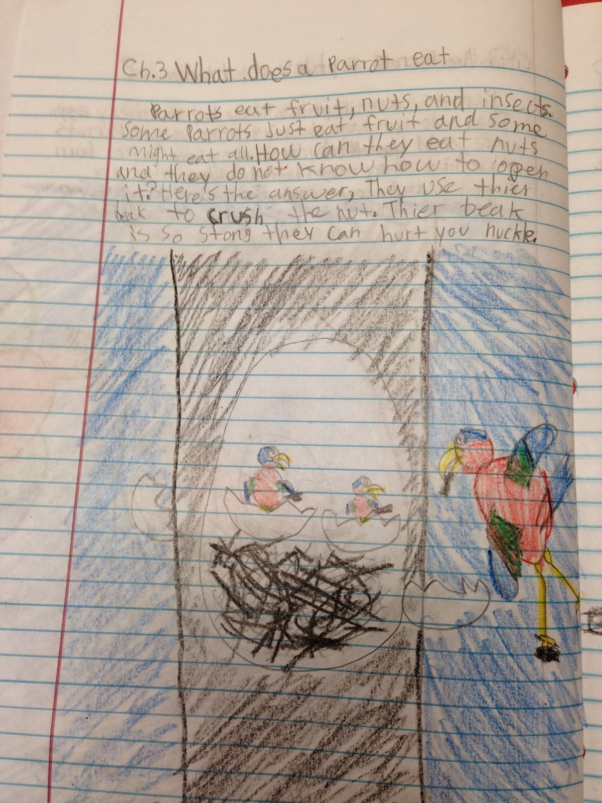 General Delk's Army: Animal Research Projects