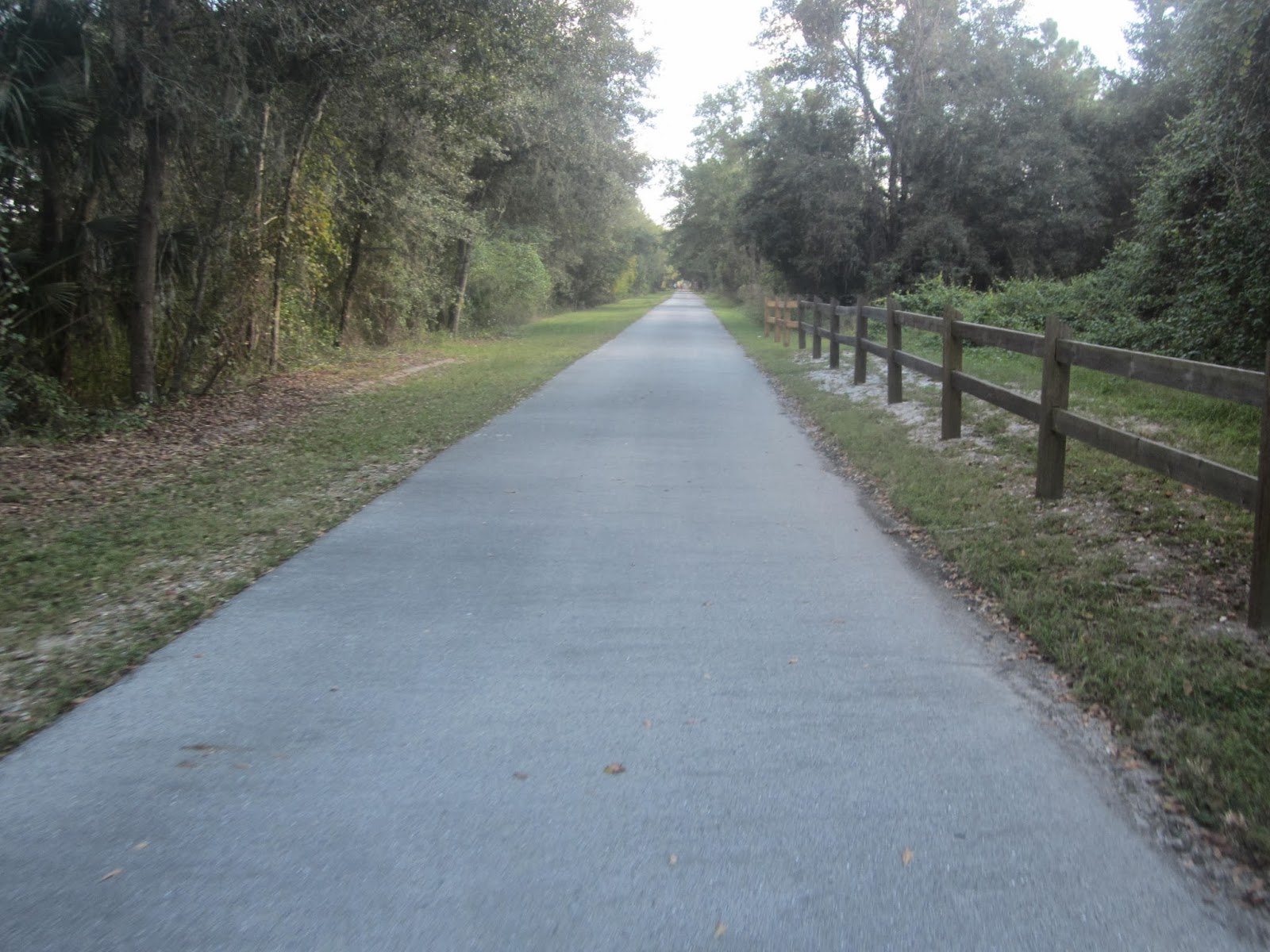 Dave's Yak Tales: Weeki Wachee, Mud River, and Salt Spring