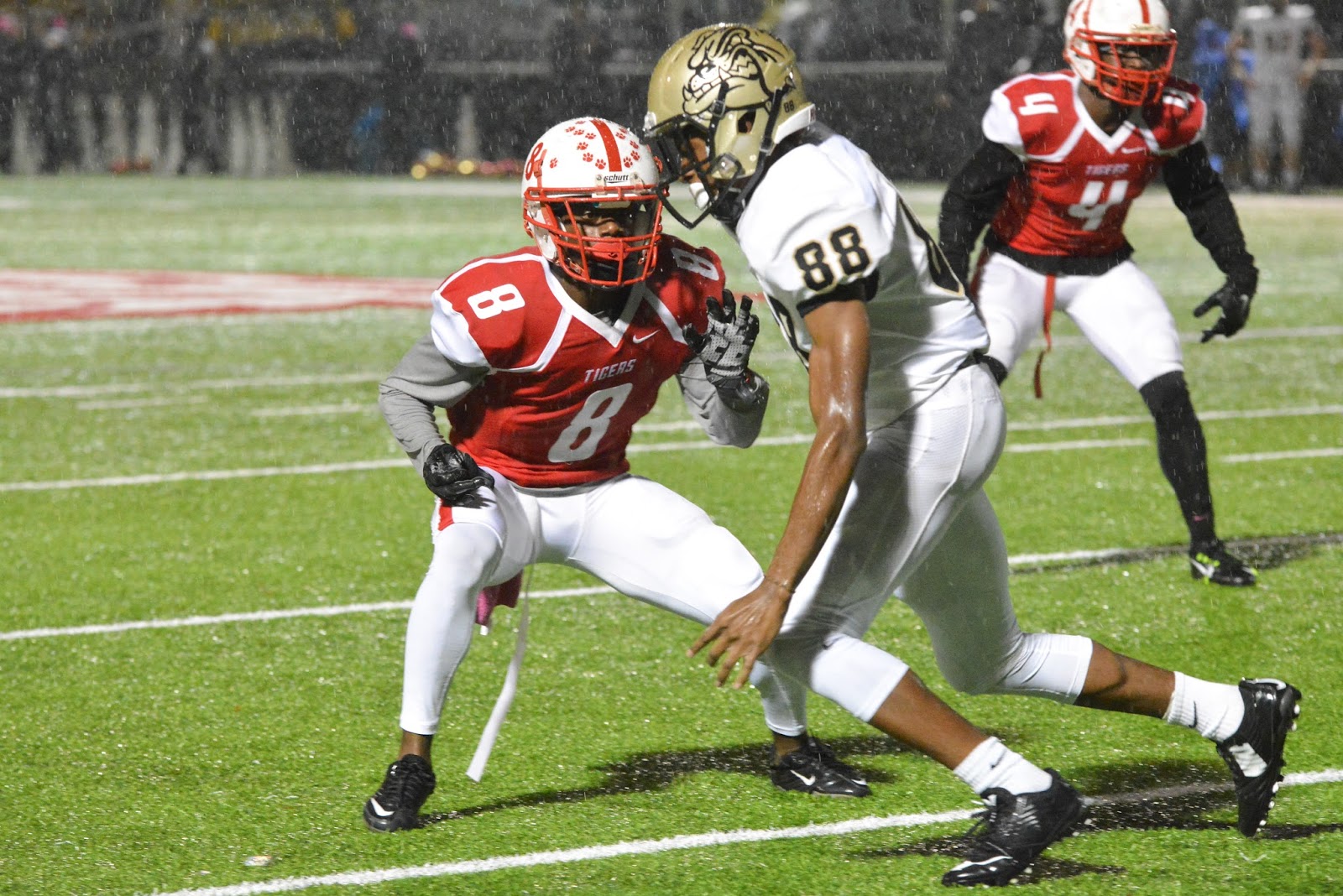 Terrell Daily Photo: Tigers win