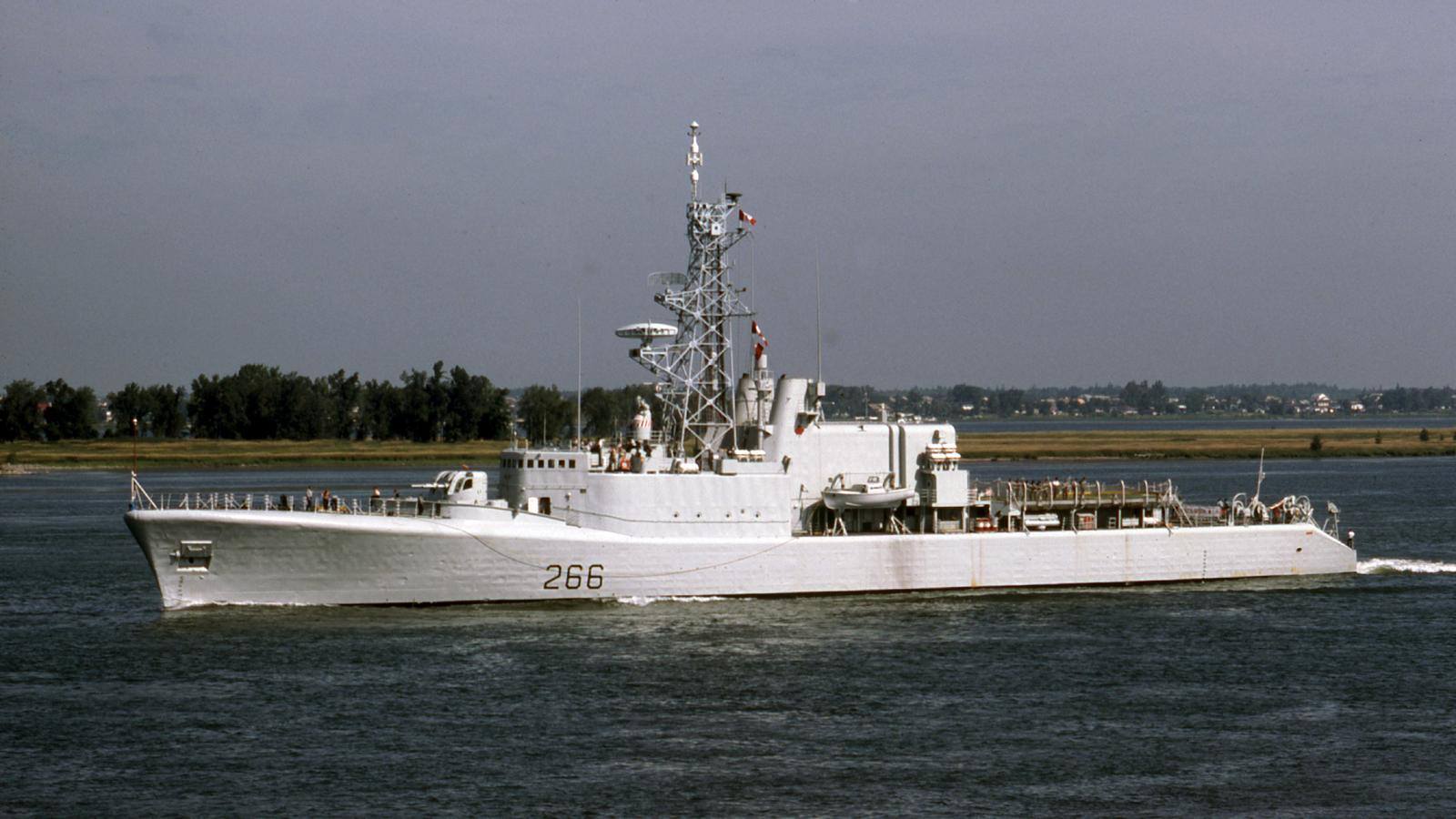 NO-BADGE KILLICK: The Cadillacs