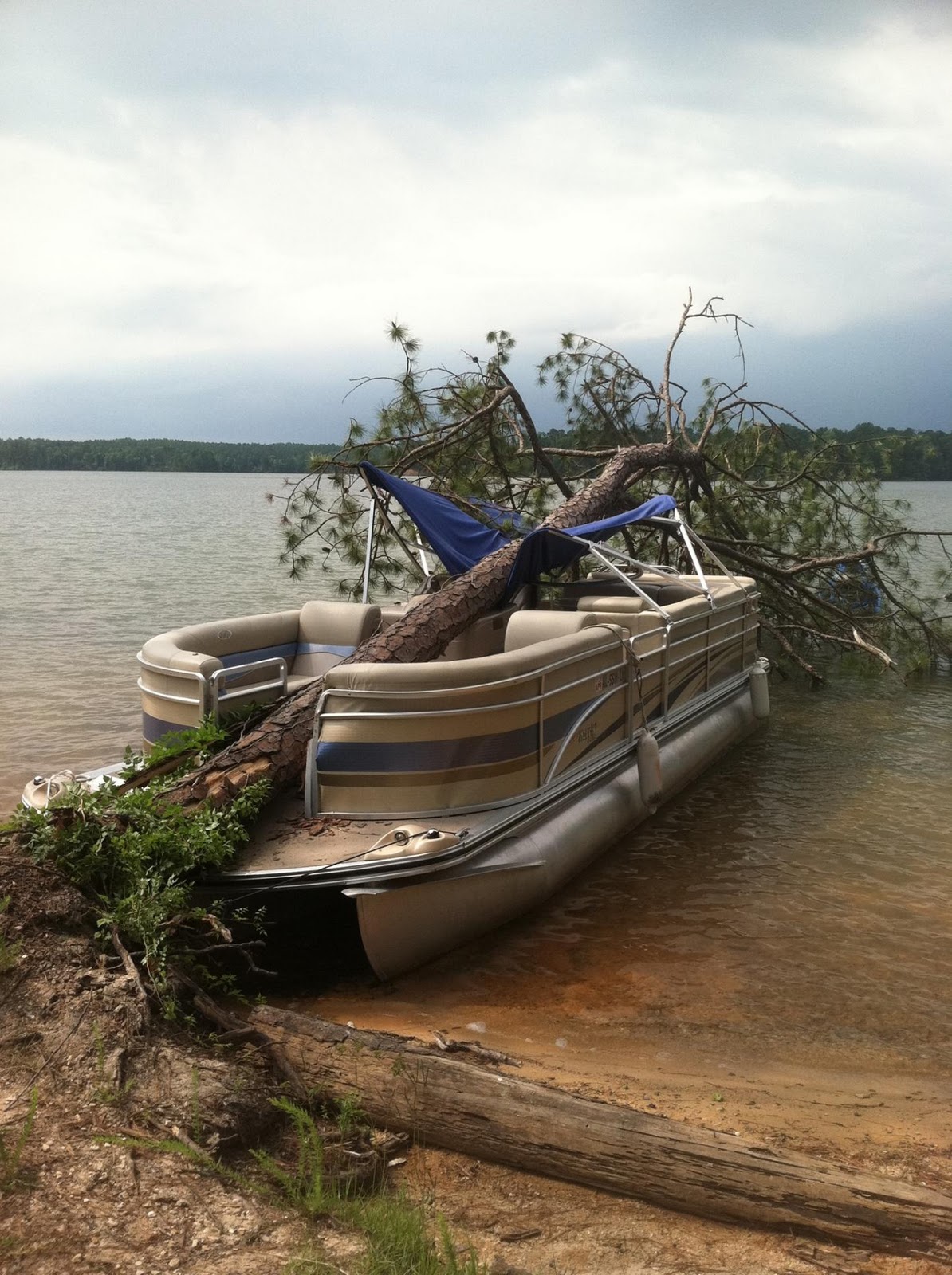 The Norton Family: A little of what we've been up to