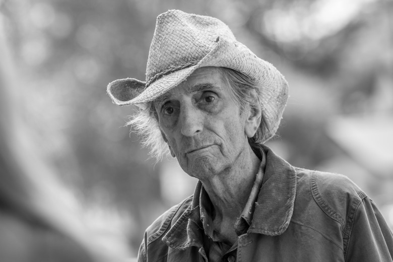 A Shroud of Thoughts: The Late Great Harry Dean Stanton