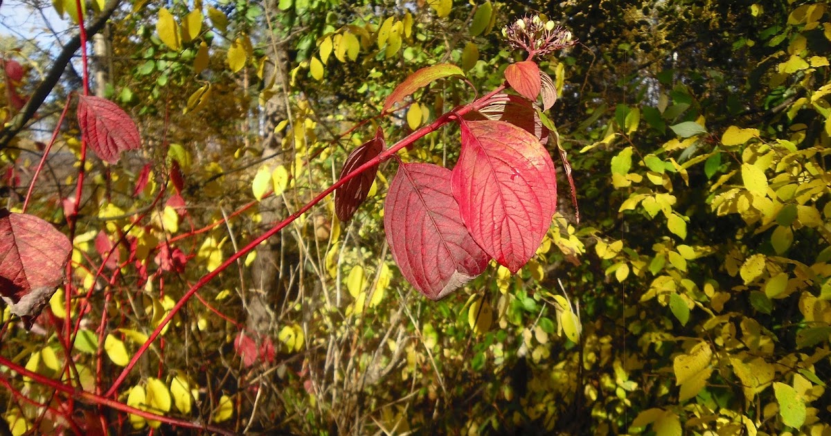 SÄÄ KUVAT: SYYSKUU