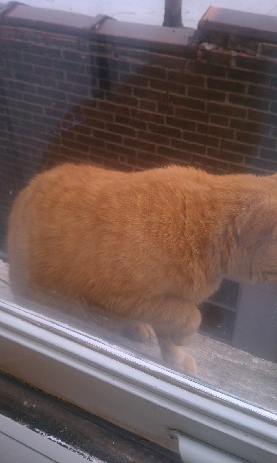 poop and other things moms are obsessed with