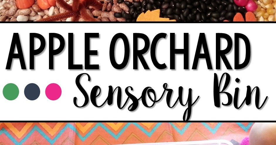 Apple Orchard and Pumpkin Patch Sensory Bin | Sara J Creations