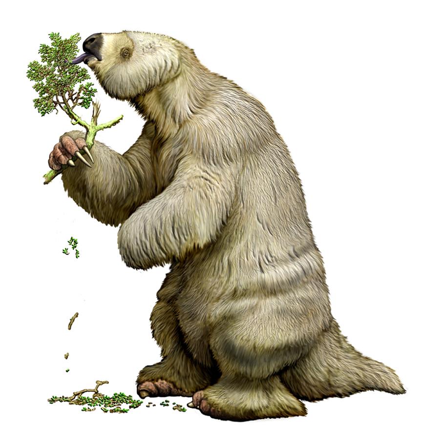 Top 10 ground sloth ideas and inspiration